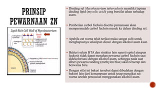 Pertemuan ke-5 - Pewarnaan Bakteri tahan asam (BTA) | PDF