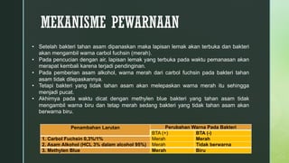 Pertemuan ke-5 - Pewarnaan Bakteri tahan asam (BTA) | PDF