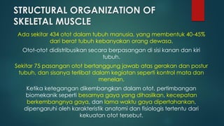 Pertemuan ke 10 The Biomechanics of Human Skeletal Muscle (part 1).pdf