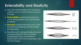 Pertemuan ke 10 The Biomechanics of Human Skeletal Muscle (part 1).pdf