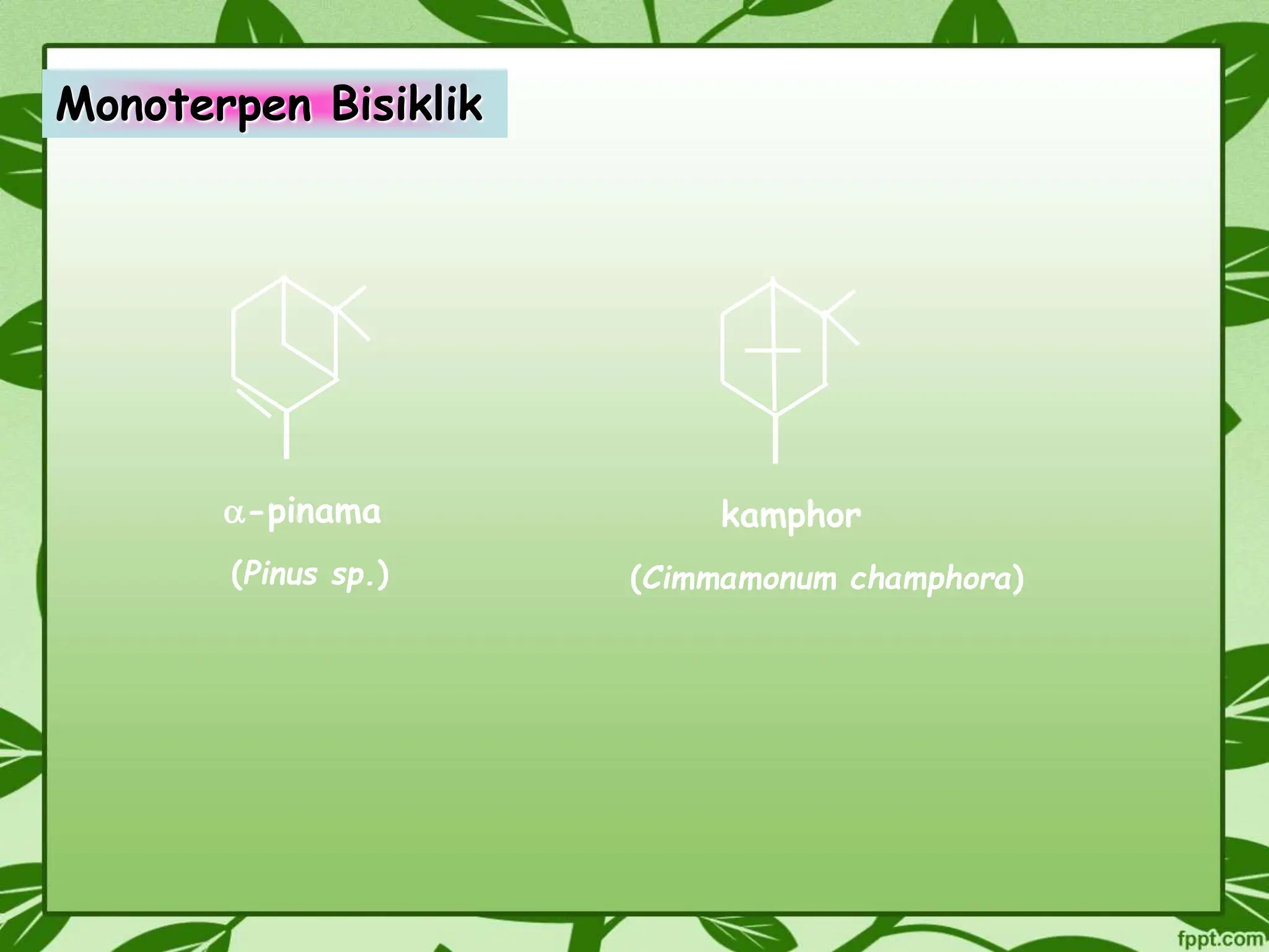 Pertemuan ke 14 METABOLIT sekunder an metabolit primer, jalur ...