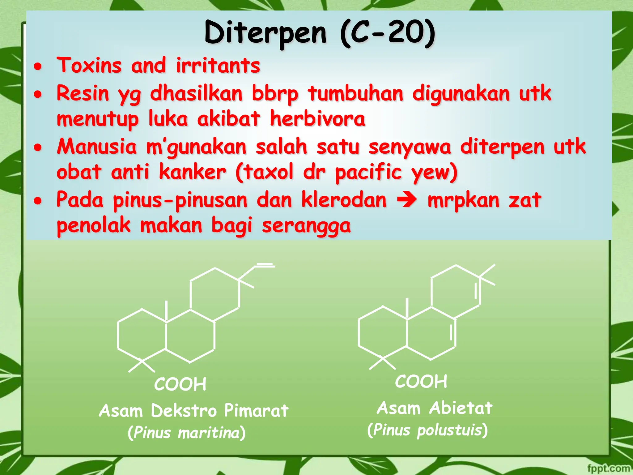 Pertemuan ke 14 METABOLIT sekunder an metabolit primer, jalur ...