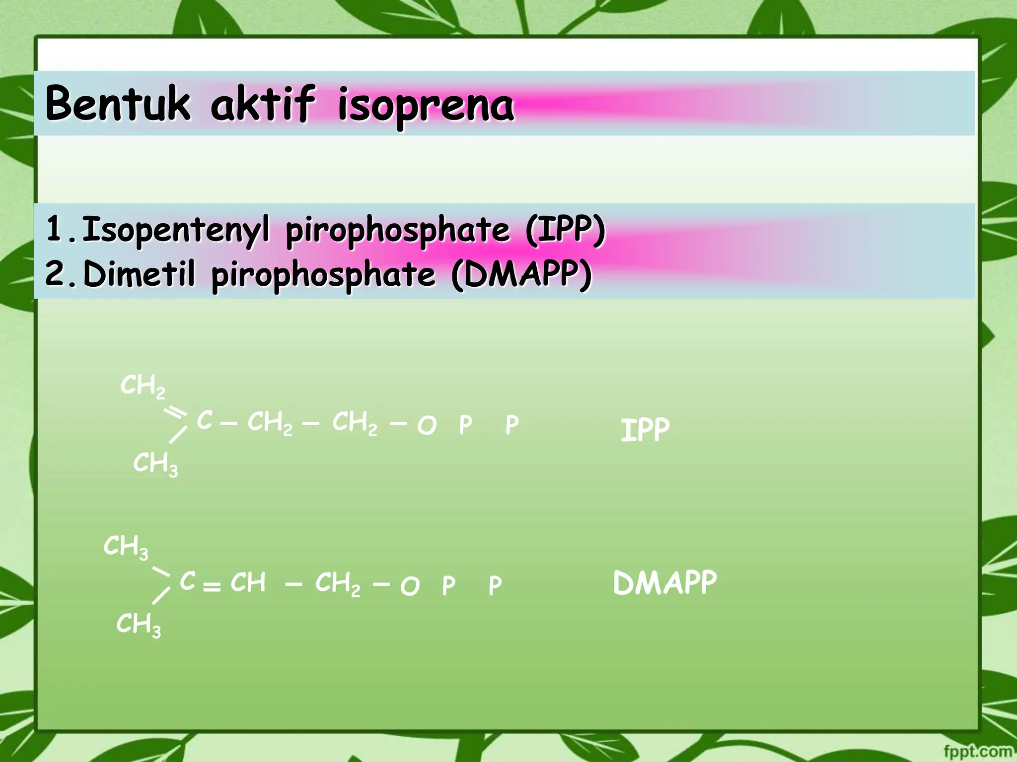 Pertemuan ke 14 METABOLIT sekunder an metabolit primer, jalur ...