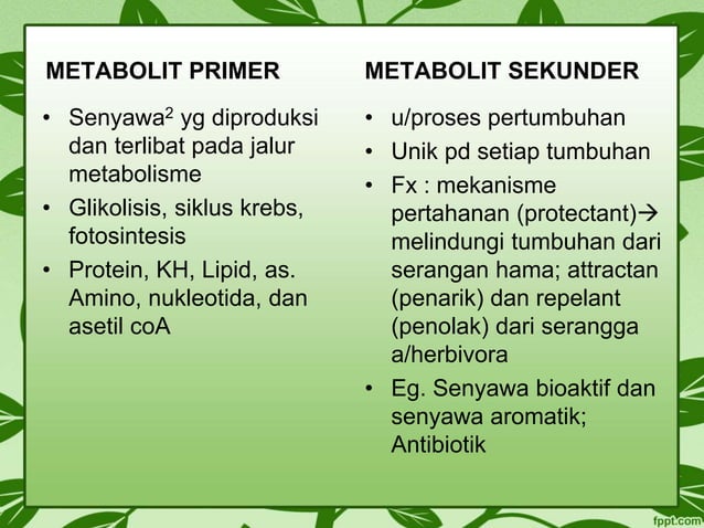 Pertemuan ke 14 METABOLIT sekunder an metabolit primer, jalur ...