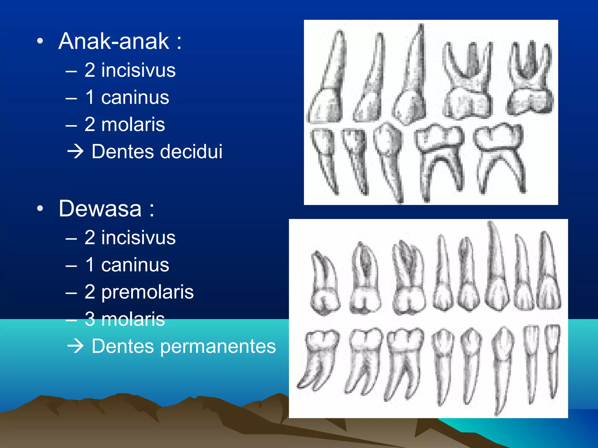 anatomi tractus digestivus | PPT