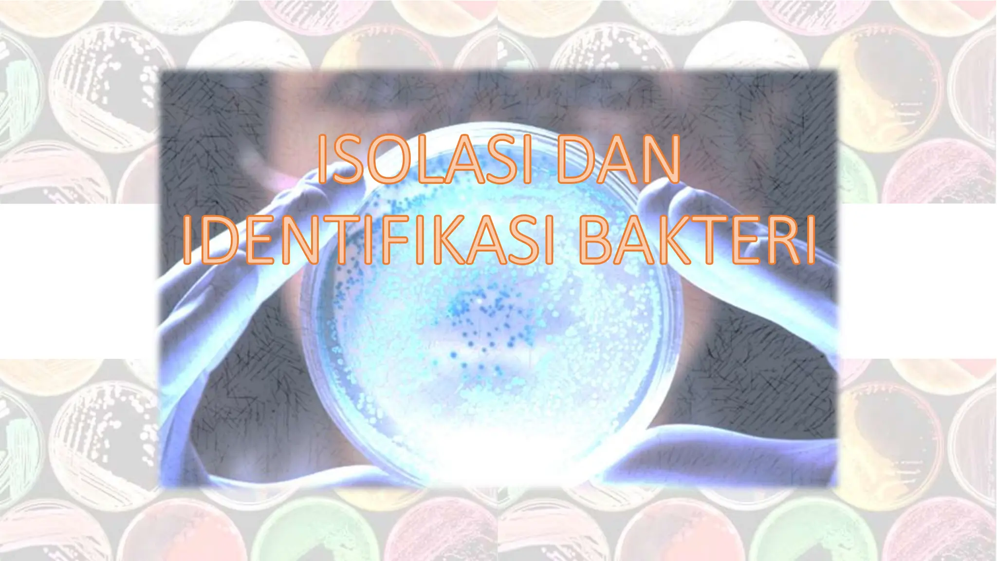 Pertemuan ke 4 dan 5 ISOLASI_DAN_IDENTIFIKASI_BAKTERI.ppt