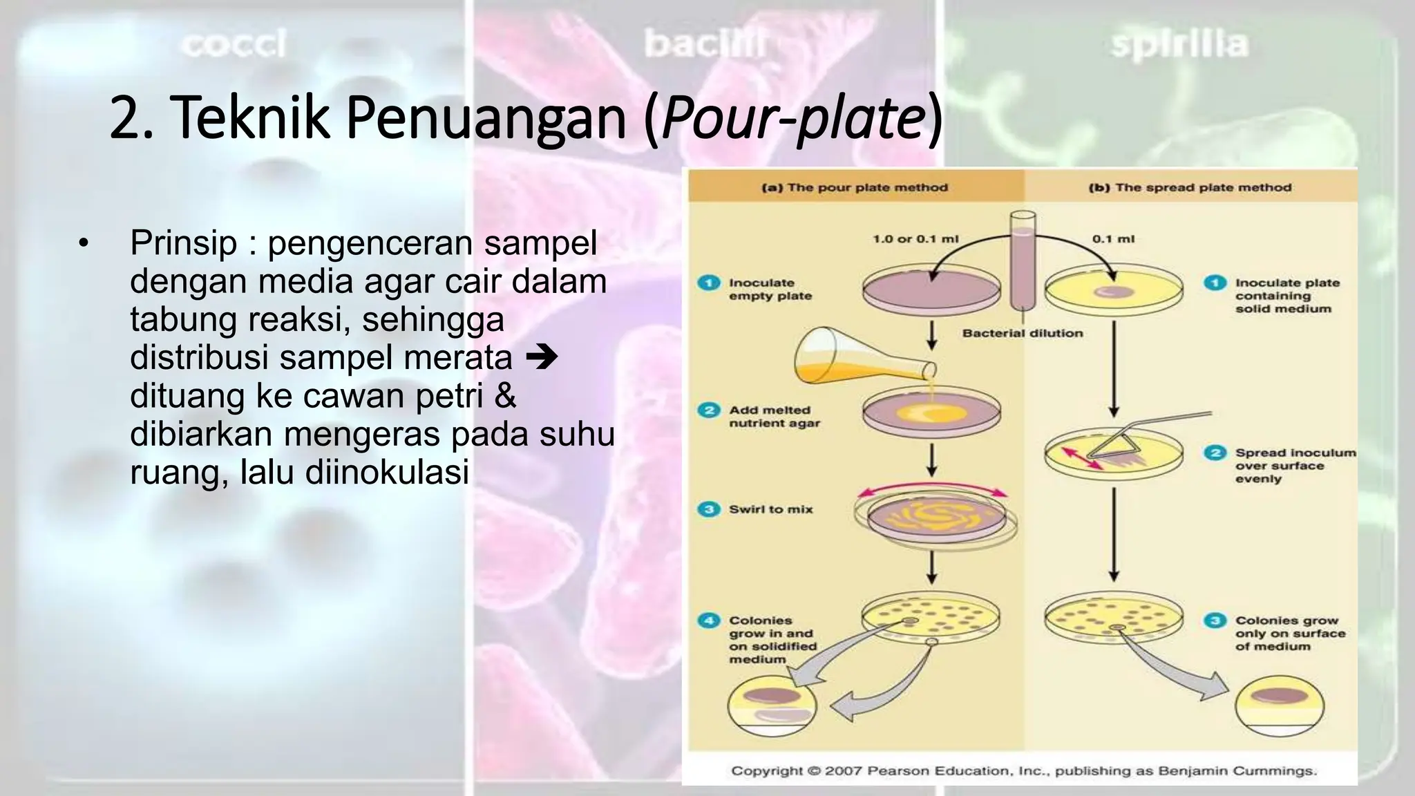 Pertemuan ke 4 dan 5 ISOLASI_DAN_IDENTIFIKASI_BAKTERI.ppt