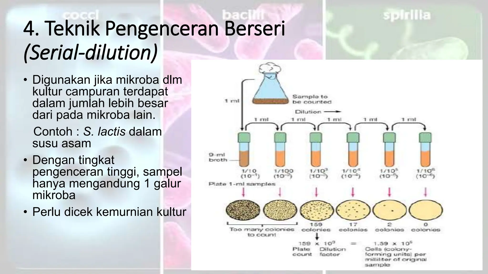 Pertemuan ke 4 dan 5 ISOLASI_DAN_IDENTIFIKASI_BAKTERI.ppt