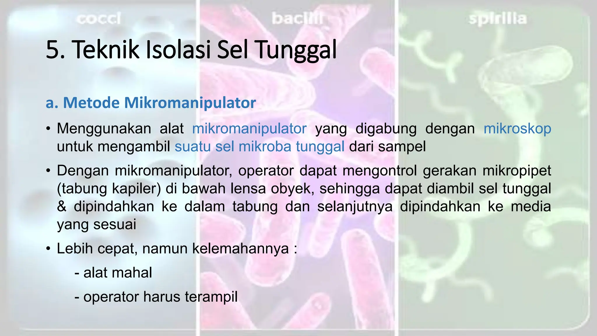 Pertemuan ke 4 dan 5 ISOLASI_DAN_IDENTIFIKASI_BAKTERI.ppt