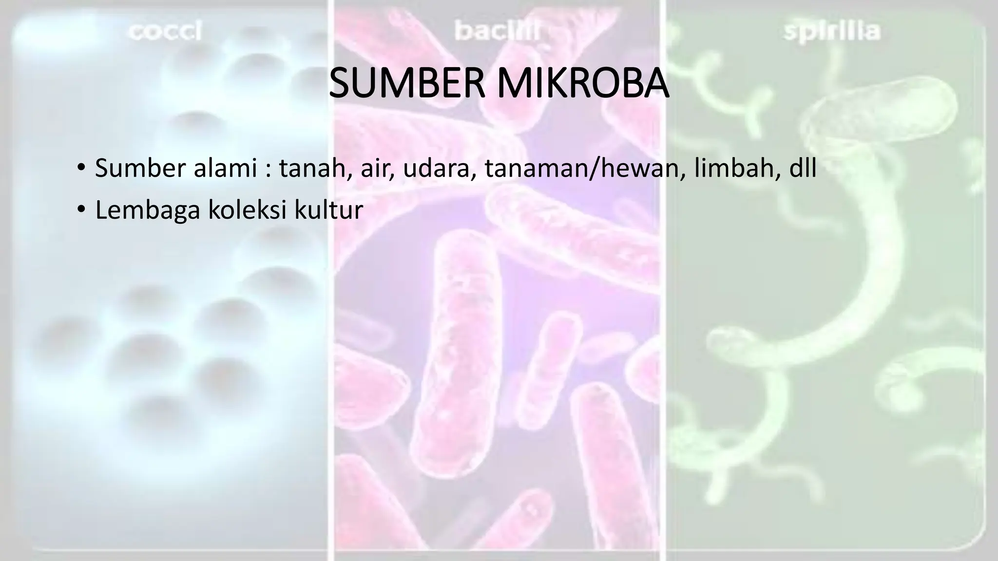 Pertemuan ke 4 dan 5 ISOLASI_DAN_IDENTIFIKASI_BAKTERI.ppt