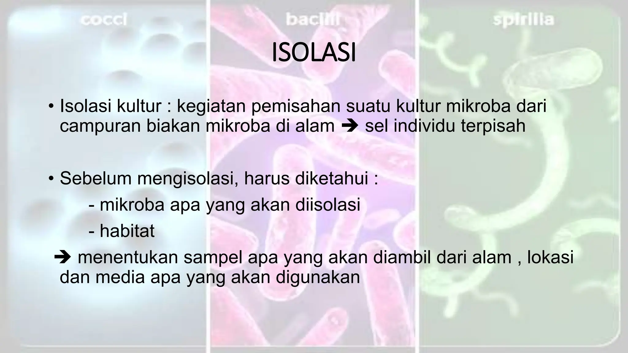 Pertemuan ke 4 dan 5 ISOLASI_DAN_IDENTIFIKASI_BAKTERI.ppt