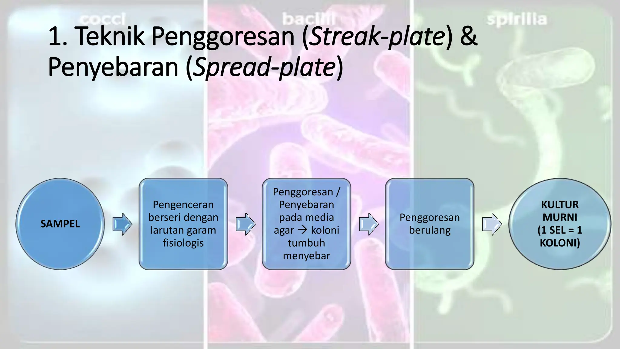 Pertemuan ke 4 dan 5 ISOLASI_DAN_IDENTIFIKASI_BAKTERI.ppt