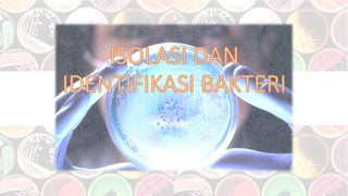 Pertemuan ke 4 dan 5 ISOLASI_DAN_IDENTIFIKASI_BAKTERI.ppt