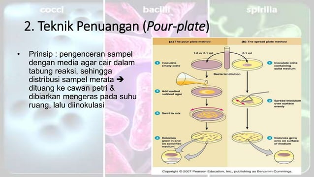 Pertemuan ke 4 dan 5 ISOLASI_DAN_IDENTIFIKASI_BAKTERI.ppt