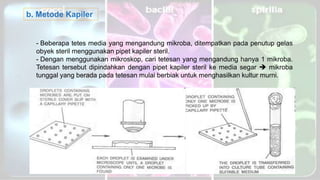 Pertemuan ke 4 dan 5 ISOLASI_DAN_IDENTIFIKASI_BAKTERI.ppt