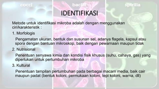 Pertemuan ke 4 dan 5 ISOLASI_DAN_IDENTIFIKASI_BAKTERI.ppt