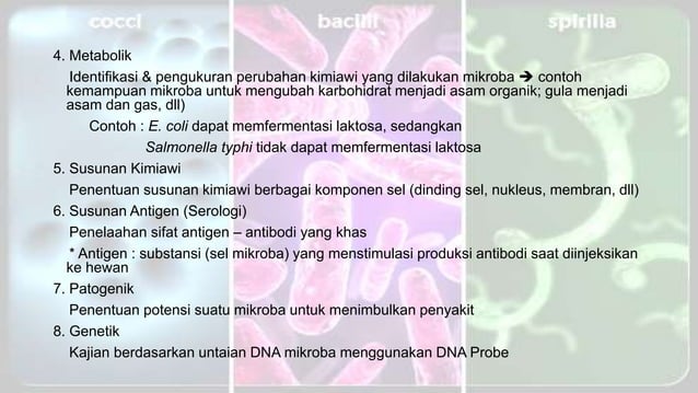 Pertemuan ke 4 dan 5 ISOLASI_DAN_IDENTIFIKASI_BAKTERI.ppt