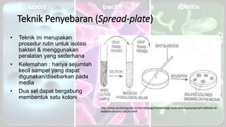 Pertemuan ke 4 dan 5 ISOLASI_DAN_IDENTIFIKASI_BAKTERI.ppt