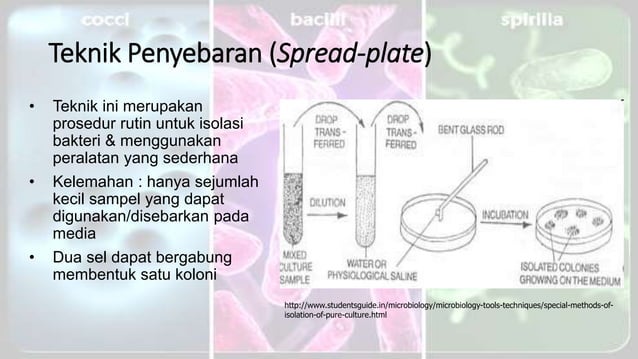Pertemuan ke 4 dan 5 ISOLASI_DAN_IDENTIFIKASI_BAKTERI.ppt