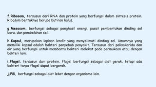 eubacteria and archaebacteria | PPTX