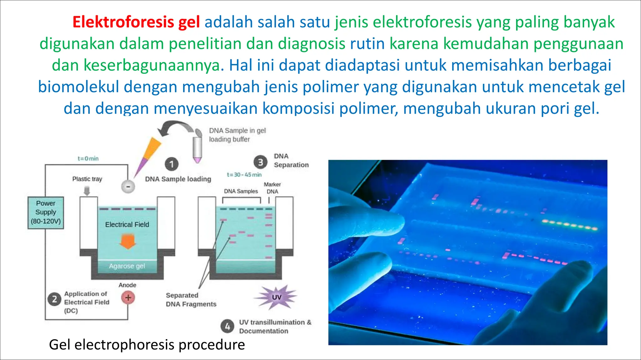 pengembangan sediaan farmasi dan nanoteknologi.pdf