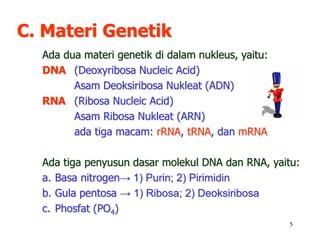 Pertemuan X Biodasar 8 nukleus materi genetik.ppt