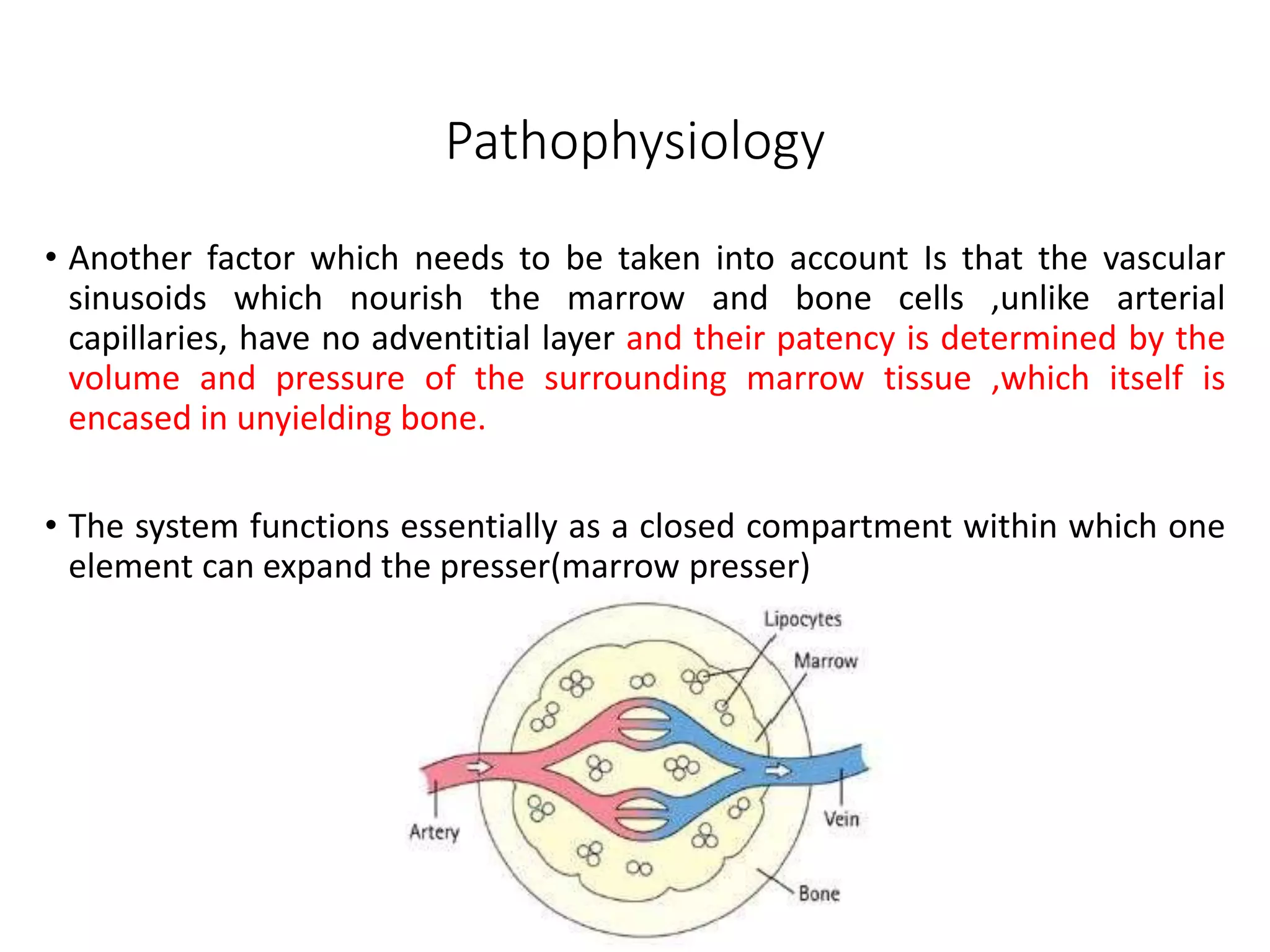 Perthes disease | PPTX