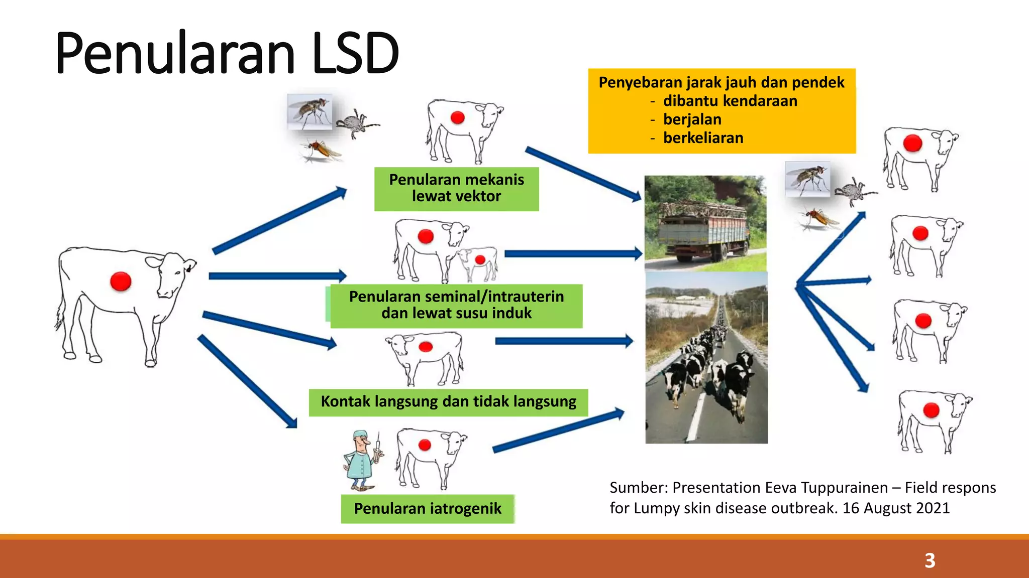 Pertimbangan Teknis Rencana Aksi dan Strategi Pengendalian LSD di ...