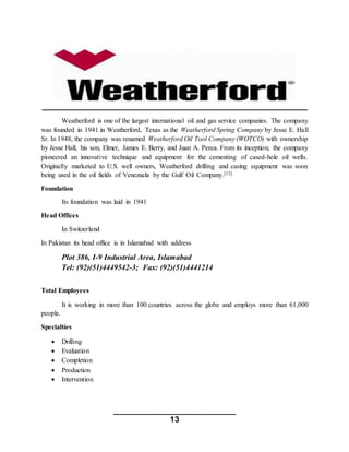 Pertoleum companies in pakistan | DOCX