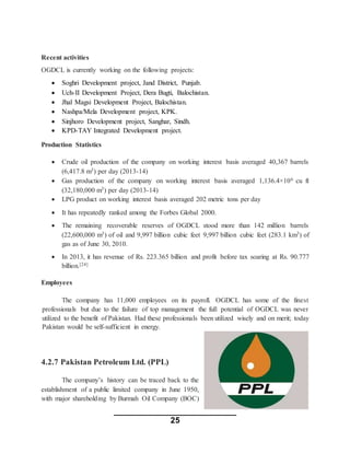 Pertoleum companies in pakistan | DOCX
