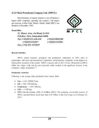 Pertoleum companies in pakistan | DOCX