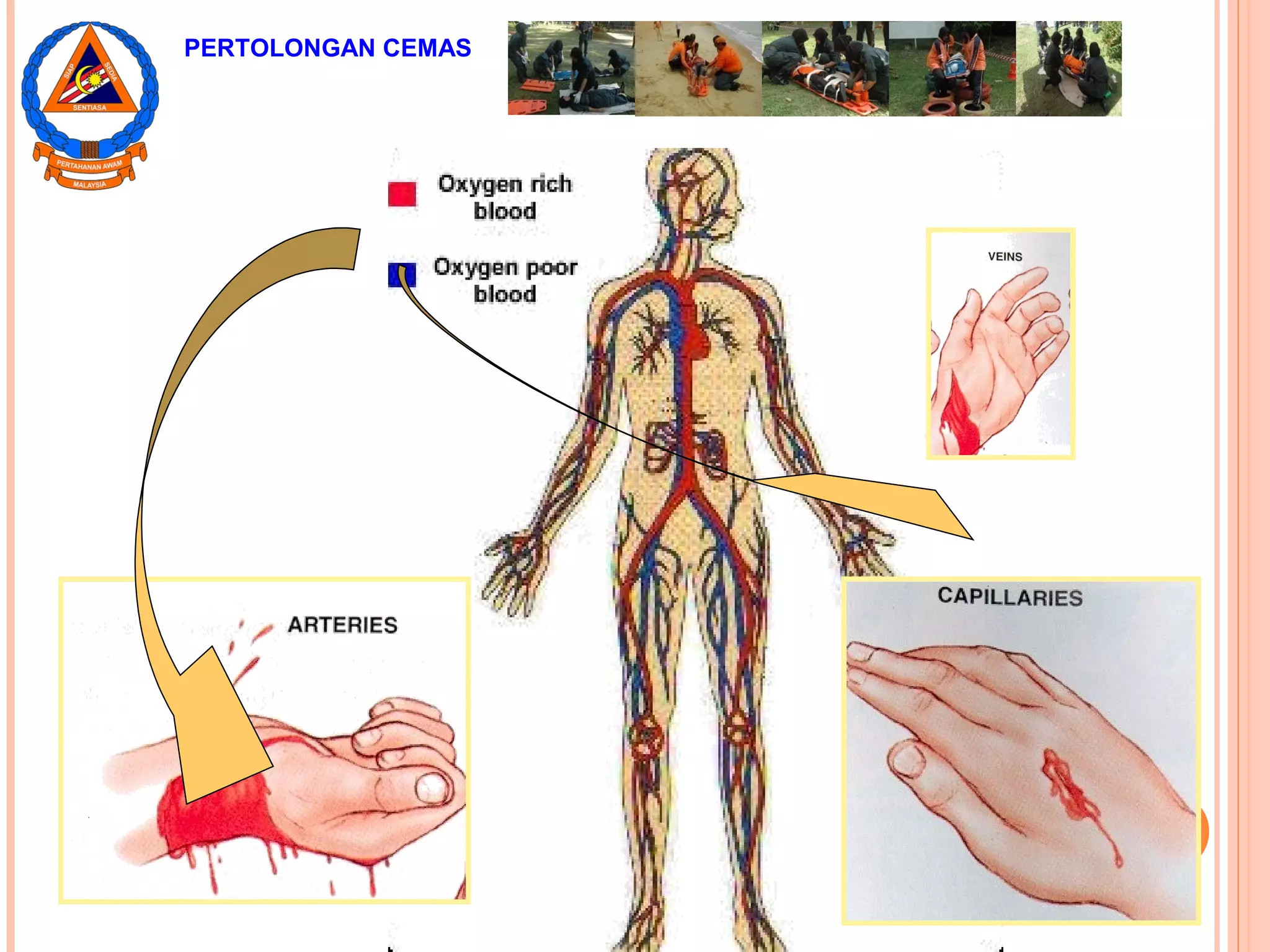 Pertolongan cemas | PDF