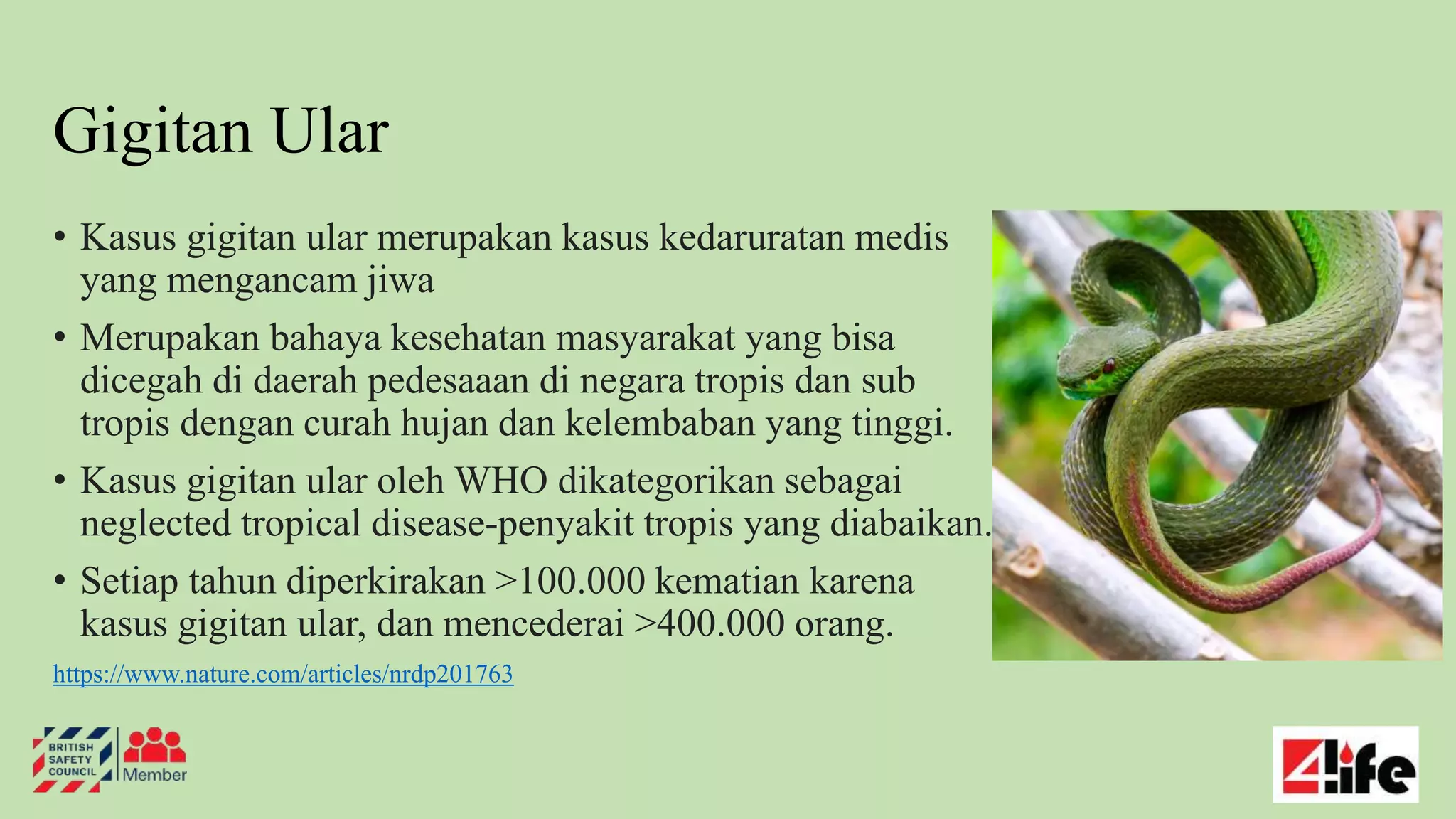 PERTOLONGAN PERTAMA GIGITAN ULAR.pptx