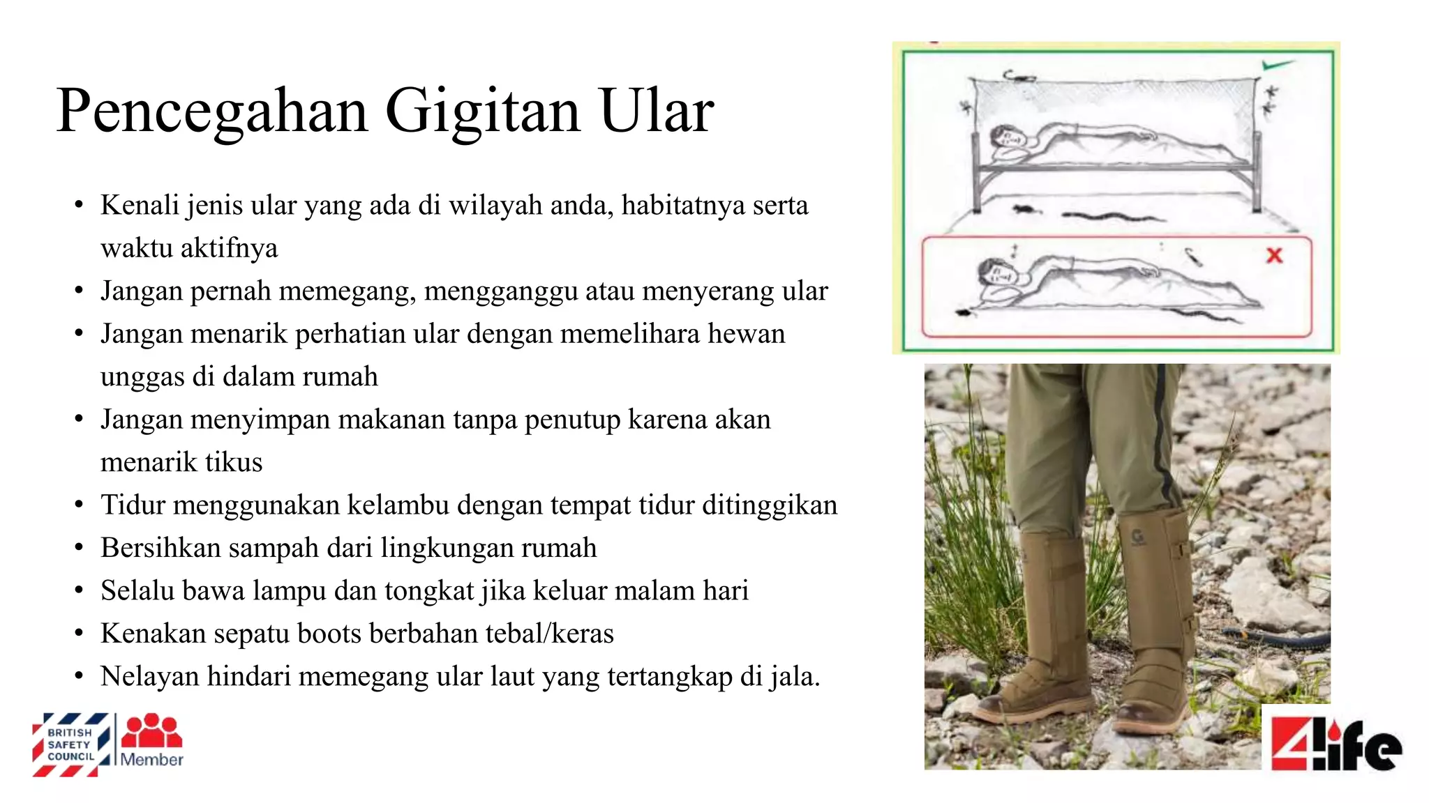 PERTOLONGAN PERTAMA GIGITAN ULAR.pptx