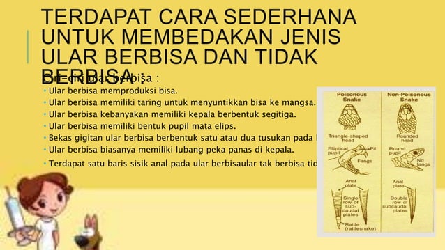 Pertolongan Pertama Pada nak Dengan Gigitan Ular | PPTX