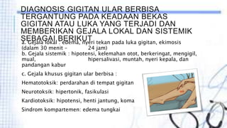 Pertolongan Pertama Pada nak Dengan Gigitan Ular | PPTX