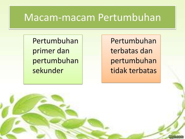 Pertumbuhan | PPTX