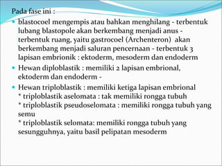 Pertumbuhan-dan-perkembangan-pada-Hewan-dan-Manusia (1).pptx