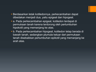 pertumbuhan-dan-perkembangan-tumbuhan-2-smp.ppt