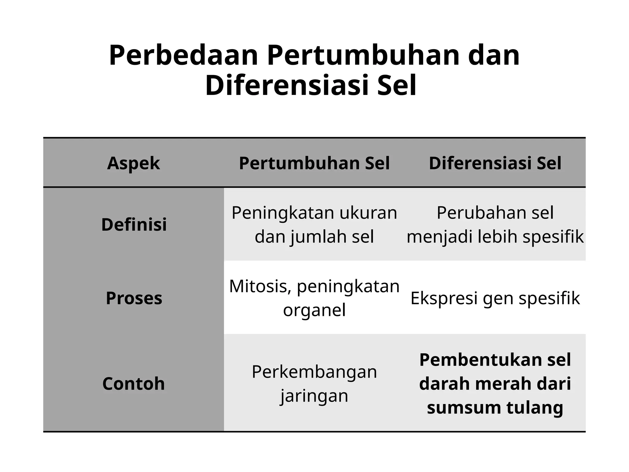 pertumbuhan dan diferensiasi sel manusia.pptx