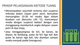 Pertumbuhan dan kultivasi mikroba | PPTX