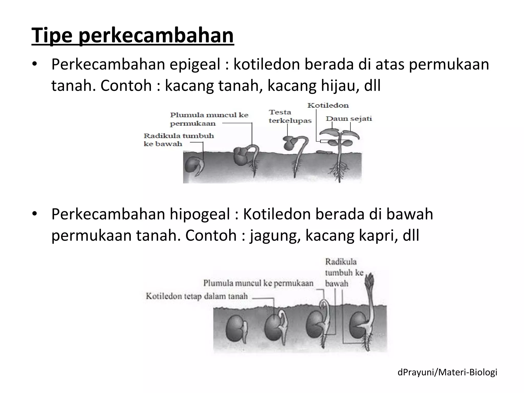 Pertumbuhan dan perkembangan | PPT