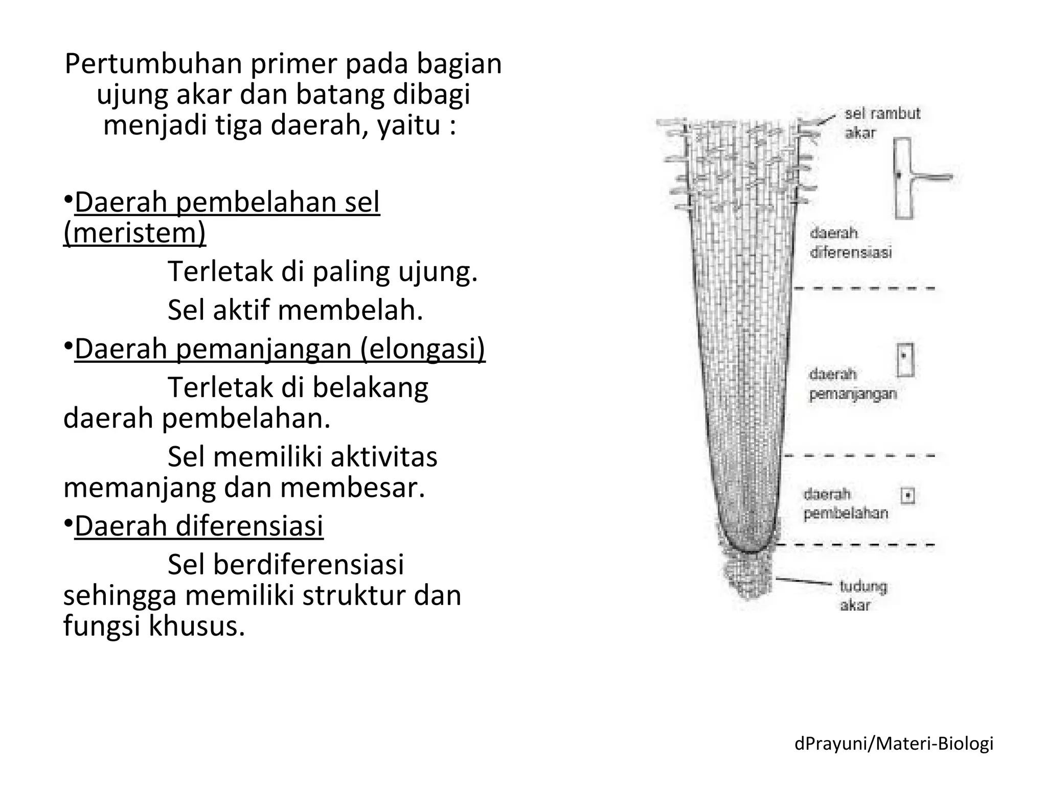 Pertumbuhan dan perkembangan | PPT