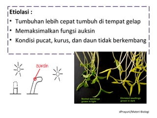 Pertumbuhan dan perkembangan | PPT