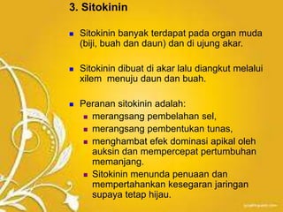 Pertumbuhan dan perkembangan | PPTX