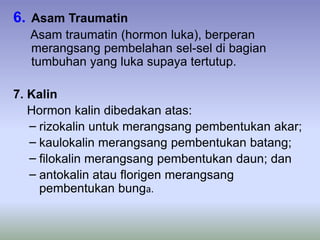 Pertumbuhan dan perkembangan | PPTX