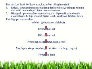 Biologi Pertumbuhan dan perkembangan tumbuhan | PPTX