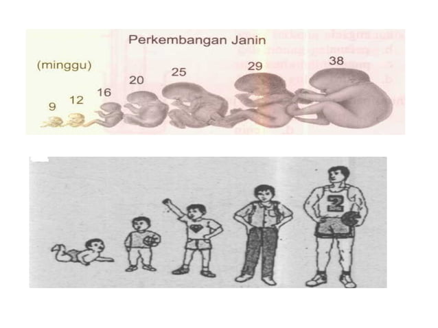 Pertumbuhan dan perkembangan | PPT