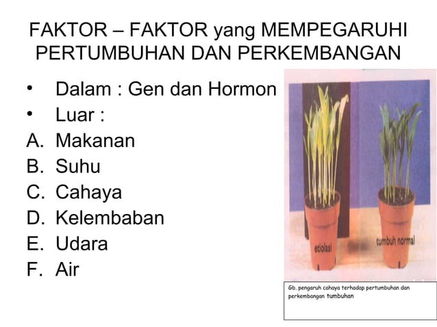 Pertumbuhan dan perkembangan | PPT