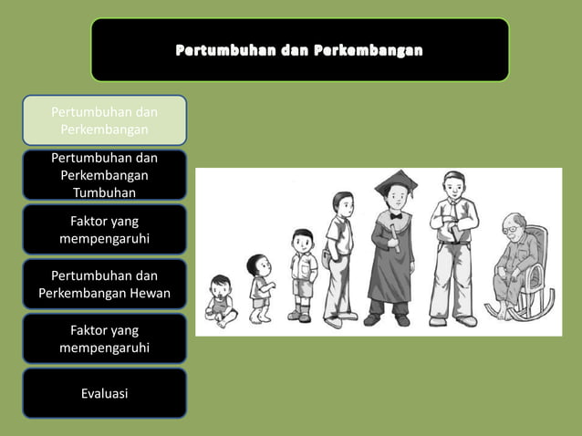 Pertumbuhan dan perkembangan | PPTX